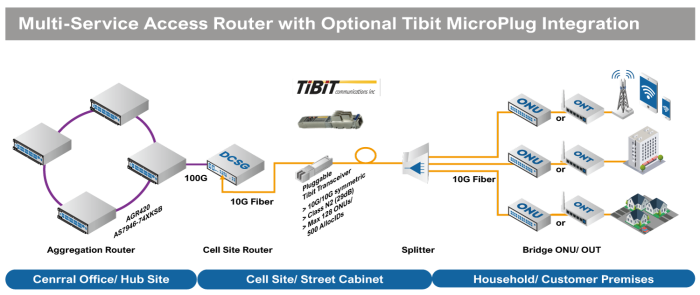 Multi-Service Access Router with Optional Tibit MicroPlug Integration ...